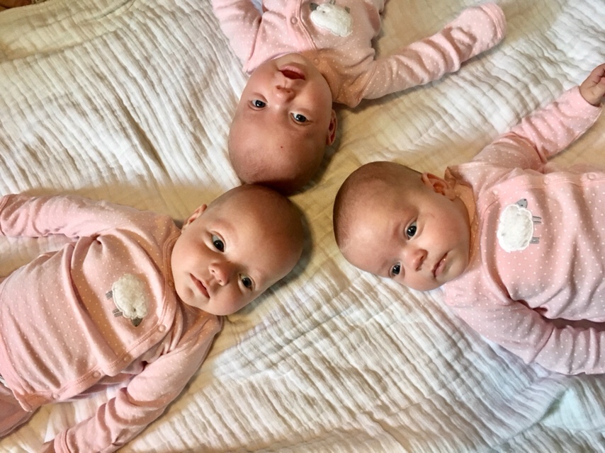 Identical or fraternal? A little triplet genetics! | The Douglets
